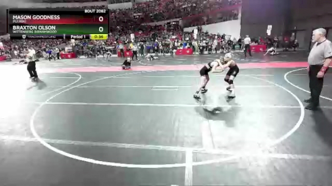 100 lbs Champ. Round 1 - Braxton Olson, Wittenberg Birnamwood vs Mason ...