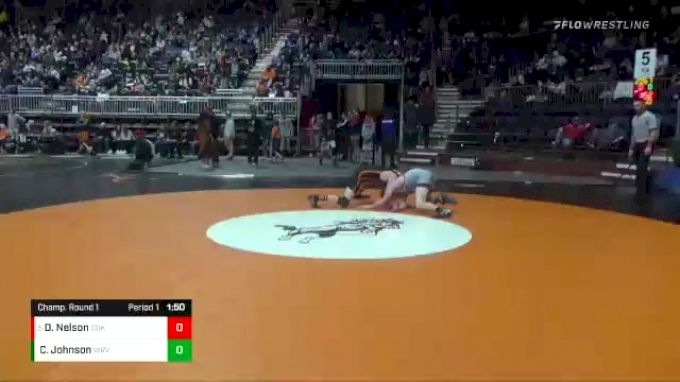 2A-160 lbs Champ. Round 1 - Dakota Nelson, Cokeville vs Calder Johnson, Wind River