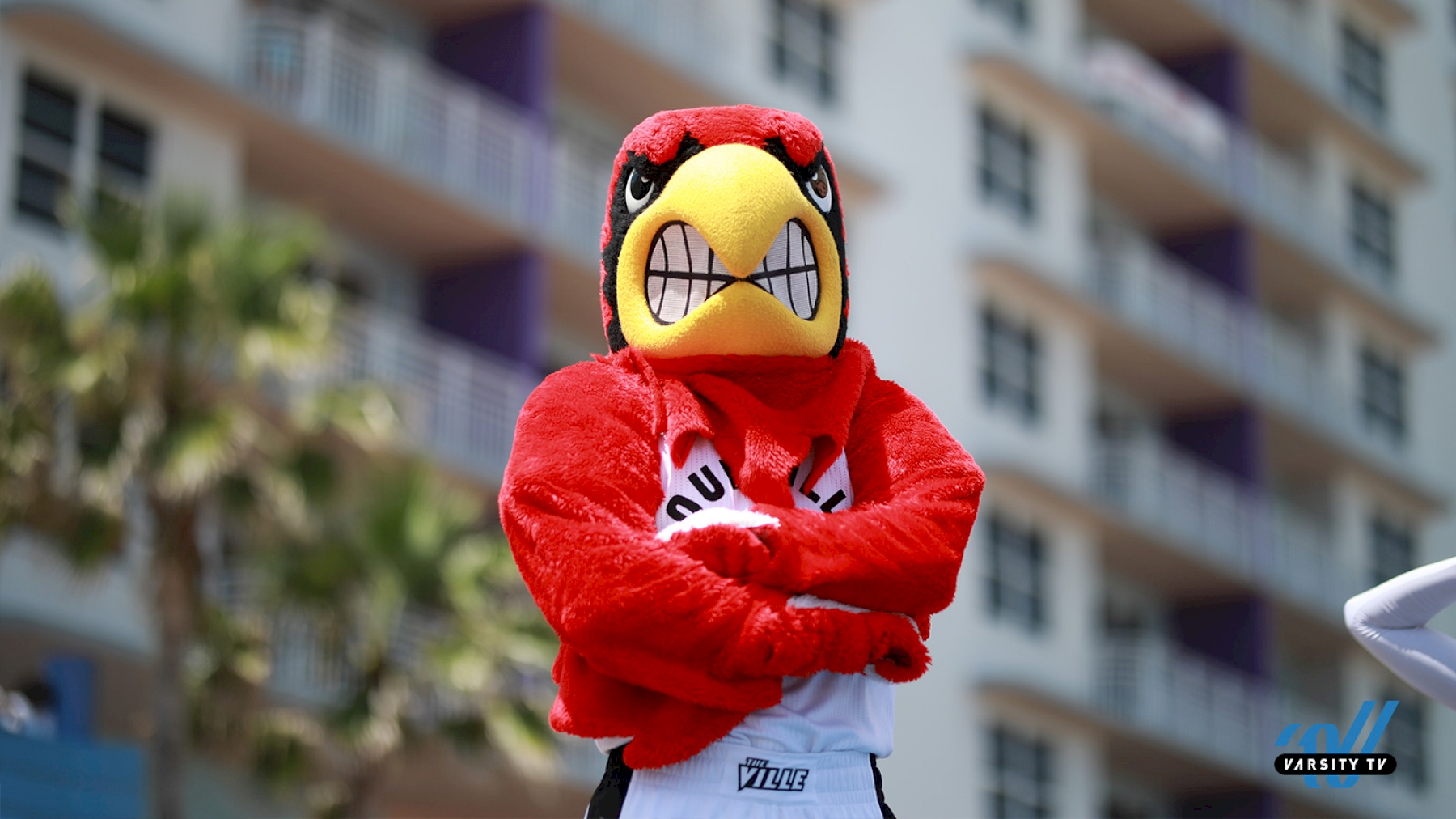 Tarleton State University Texan Rider [2025 Mascot Finals] 2025 NCA ...