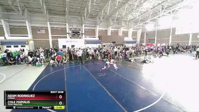 80 lbs Cons. Round 3 - Cole Mamalis, Team Prestige vs Adam Rodriguez, Hyrum