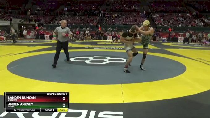 D3-132 lbs Champ. Round 1 - Anden Ankney, Tinora vs Landen Duncan, Chalker