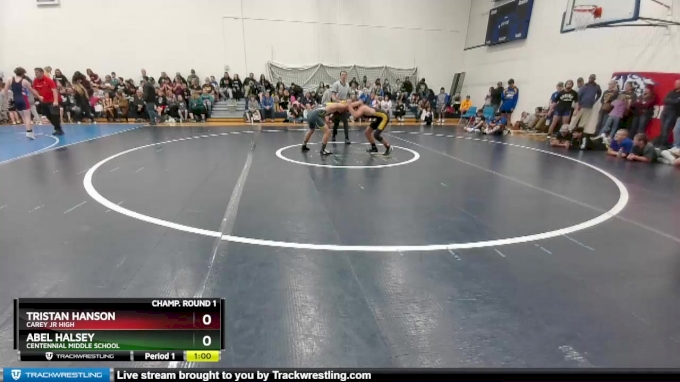 133 lbs Champ. Round 1 - Tristan Hanson, Carey Jr High vs Abel Halsey ...