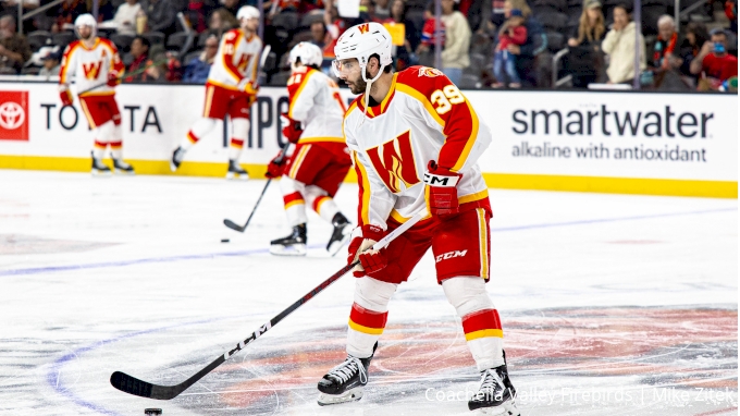 AHL Players Making An Impact In Western Conference NHL Training Camps ...
