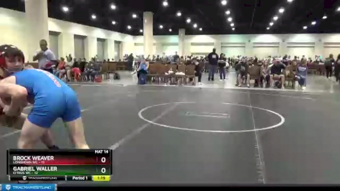 126 lbs Finals (2 Team) - Brock Weaver, Longhorn WC vs Gabriel Waller, Citrus WC