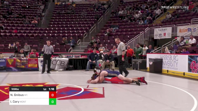 189 lbs Quarterfinal - Noah Gnibus, Mt. Pleasant vs Isaac Cory ...