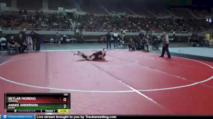 120 lbs Quarterfinal - Andee Anderson, Basha vs Skylar Moreno, Verrado