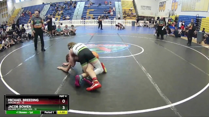 132 lbs Champ Round 1 (16 Team) - Michael Breeding, Avalon WV vs Jacob ...