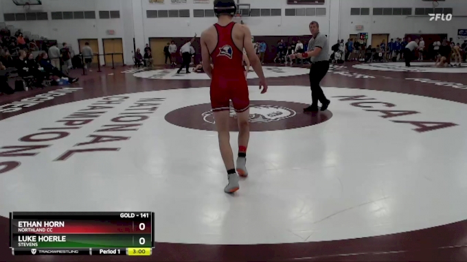 141 lbs Champ. Round 2 - Ethan Horn, Northland CC vs Luke Hoerle, Stevens