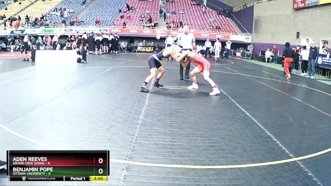 125 lbs Quarters & 1st Wb (16 Team) - Aden Reeves, Grand View (Iowa) vs ...