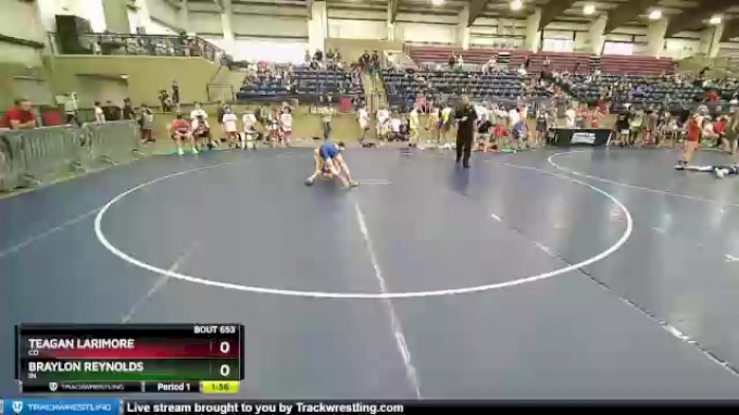 110 lbs Champ. Round 2 - Teagan Larimore, CO vs Braylon Reynolds, IN