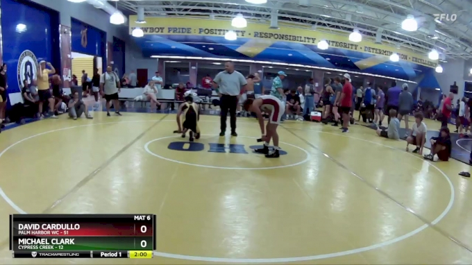 113 lbs Round 4 (8 Team) - David Cardullo, Palm Harbor WC vs MICHAEL ...