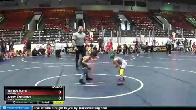 49 lbs Round 3 (4 Team) - Julian Mata, MI Pitbulls vs Addy Anthony ...