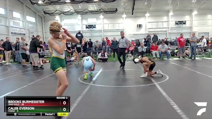 96 lbs Round 2 (8 Team) - Todd Hepler, Ohio Gold vs Gianna D`Angelo, Forge