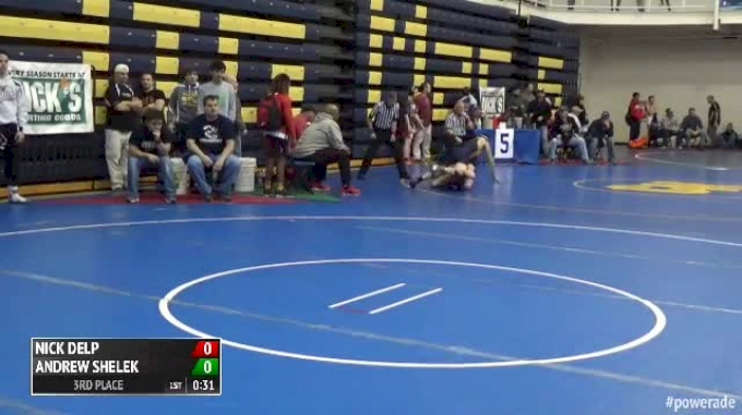 125 3rd Place - Nick Delp, Kiski Area vs Andrew Shelek, Wheeling WC
