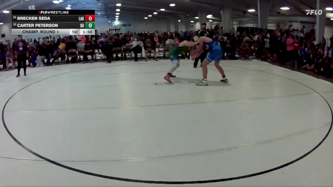 173 lbs Champ. Round 1 - Brecken Seda, Lakeview vs Carter Peterson, GI ...