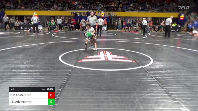 45 lbs Rd 5 - Consi Of 8 #2 - Penelope Foster, Conestoga Valley vs ...