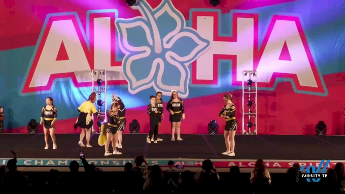 Tri-Cities Edge - Shine [2023 CheerABILITIES - Elite Day 2] 2023 Aloha ...