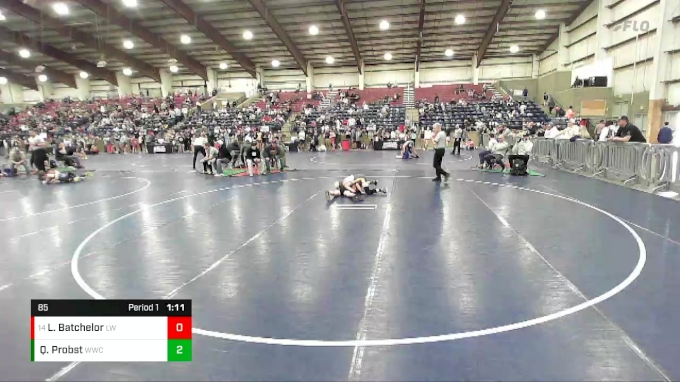 85 lbs Semifinal - Logan Batchelor, Lionheart Wrestling vs Quade Probst ...