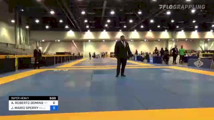 ADRIEN ROBERTO DOMINGUES vs JOSE MARIO SPERRY 2022 World Master IBJJF ...
