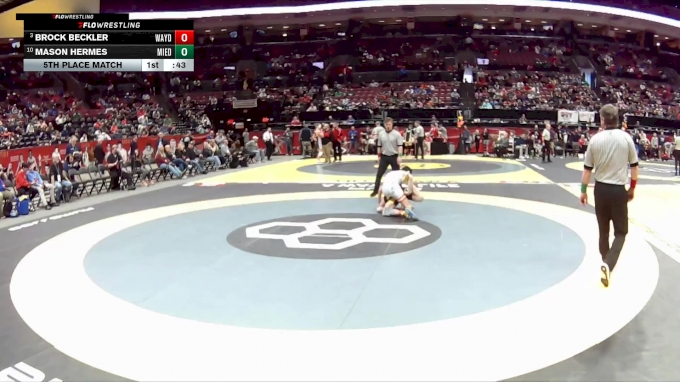 D3-113 lbs 5th Place Match - Mason Hermes, Mil. Edison vs Brock Beckler ...