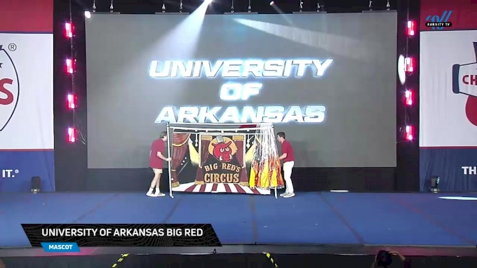 University of Arkansas Big Red [2025 Mascot Finals] 2025 NCA & NDA ...
