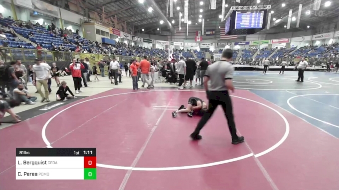 81 lbs Semifinal - Lane Bergquist, Cedaredge Bruins vs Charlie Perea ...