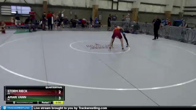 110 lbs Quarterfinal - Storm Rieck, KS vs Amari Vann, NJ