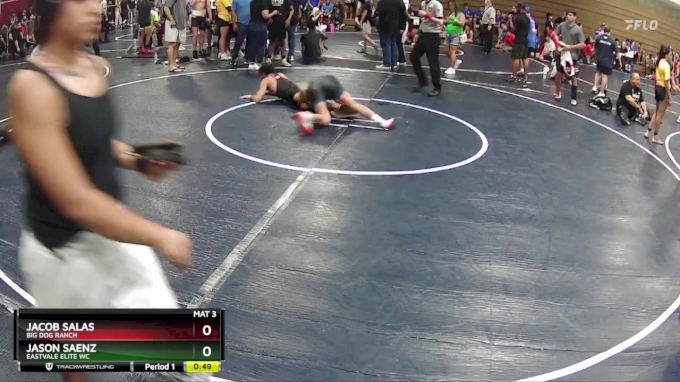 133 lbs 3rd Place Match - Jacob Salas, Big Dog Ranch vs Jason Saenz ...