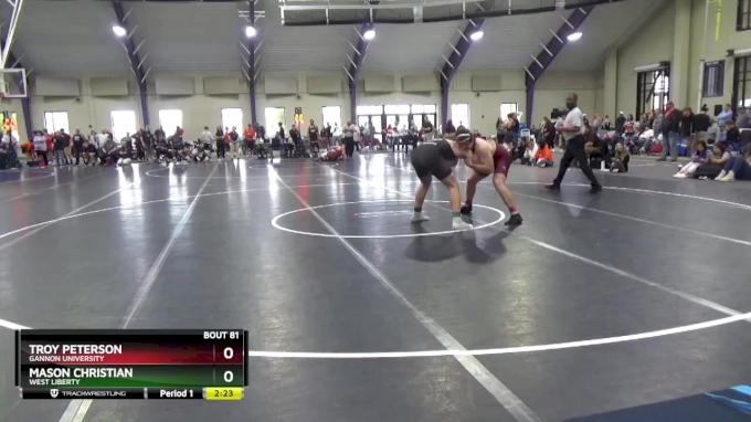 197 lbs Champ. Round 1 - Troy Peterson, Gannon University vs Mason ...