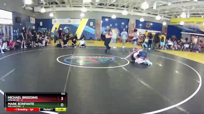 132 lbs Semis & Wb (16 Team) - Mark Bonfante, Wellington vs Michael ...