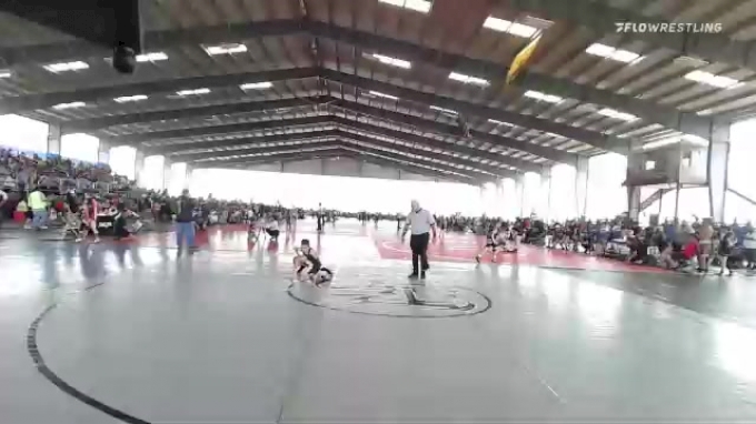 46 lbs Rr Rnd 3 - Cade Lewis, Desert Dogs WC vs Maddox Rino, Stout Wr Ac