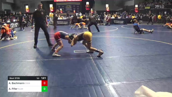 75 lbs Final - Adam Bachmann, Council Rock vs AJ Pifer, Plum