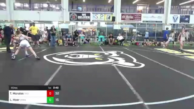 110 lbs Round 6 - Tyler Morales, TNT/Palmer vs Logan Haer, Donahue W.A.