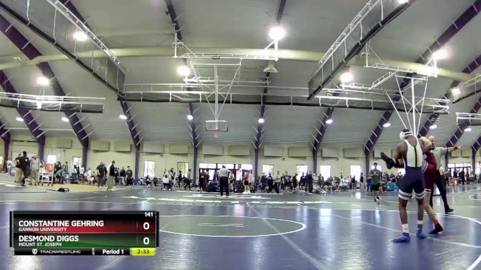 141 lbs Champ. Round 1 - Desmond Diggs, Mount St. Joseph vs Constantine ...