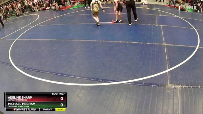 62 lbs Champ. Round 1 - Michael Mecham, Cougars Wrestling vs Adeline ...