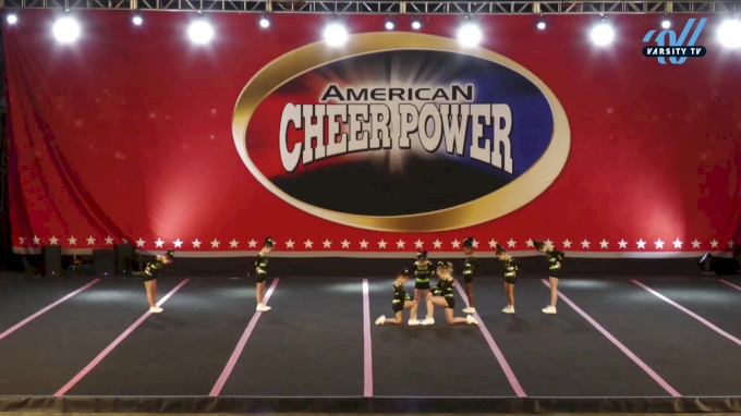 Westchester All Stars - Daisies [2024 L1 Tiny - D2 Day 1] 2024 Cheer Power Trenton Showdown