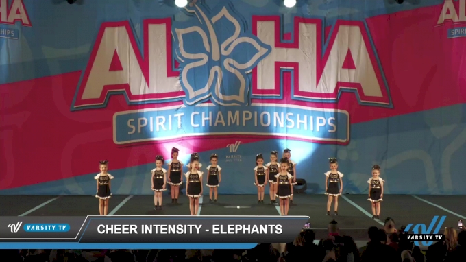 Cheer Intensity - Elephants [2023 L1.1 Tiny - PREP Day 1] 2023 Aloha ...