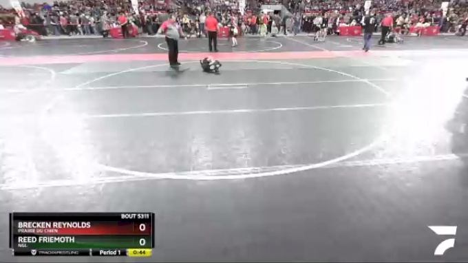 54 lbs Quarterfinal - Brecken Reynolds, Prairie Du Chien vs Reed ...