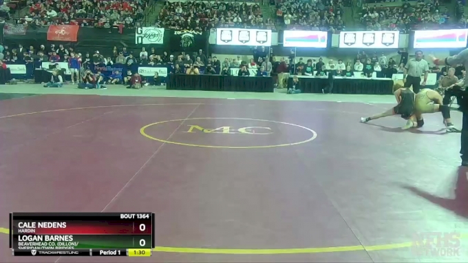 A - 113 lbs 1st Place Match - Logan Barnes, Beaverhead Co. (Dillon ...