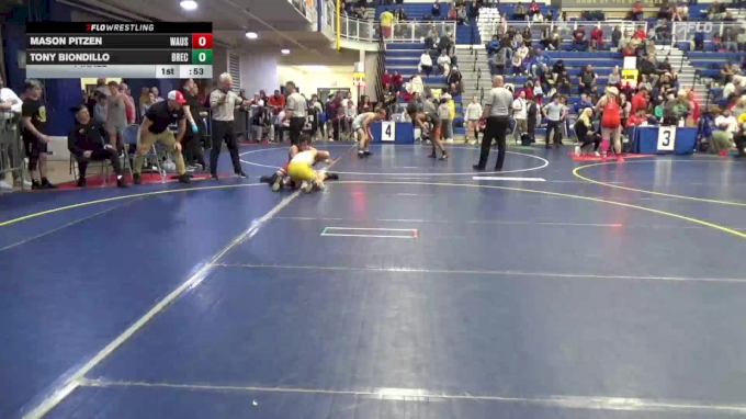 108 lbs Final - Mason Pitzen, Wauseon vs Tony Biondillo, Brecksville