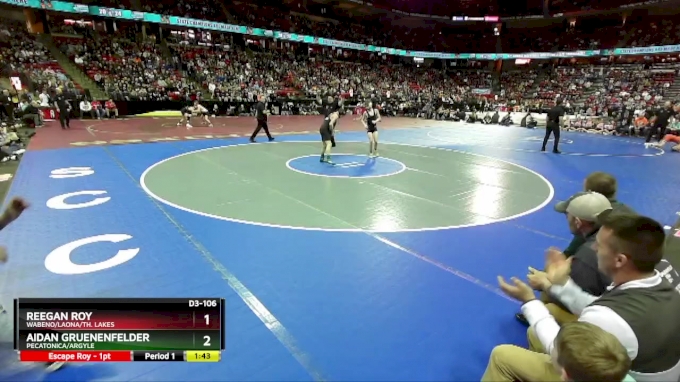 D3-106 lbs Semifinal - Aidan Gruenenfelder, Pecatonica/Argyle vs Reegan ...