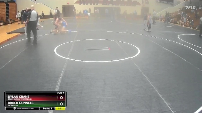 138 lbs Round 1 - Dylan Crane, Team Alpha Wrestling vs Brock Gunnels, Individual