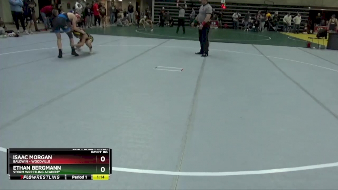 110 lbs 3rd Place Match - Ethan Bergmann, Storm Wrestling Academy vs Isaac Morgan, Baldwin ...