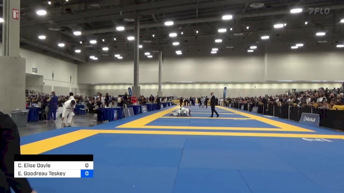 Cidney Elise Doyle vs Erin Goodreau Teskey 2024 World Masters IBJJF Jiu ...