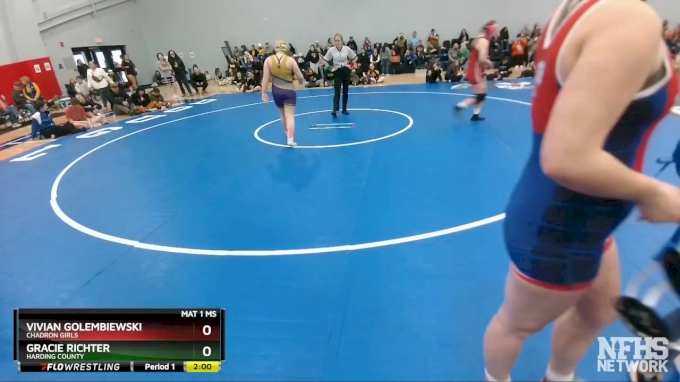 170 lbs Champ. Round 1 - Gracie Richter, Harding County vs Vivian ...