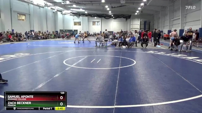125 lbs Quarterfinal - Zach Beckner, Ferrum vs Samuel Aponte, Roanoke ...