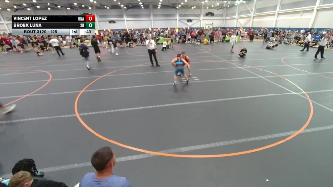 125 lbs Round 1 - Vincent Lopez, Unattached vs Bronx Luna, Unattached