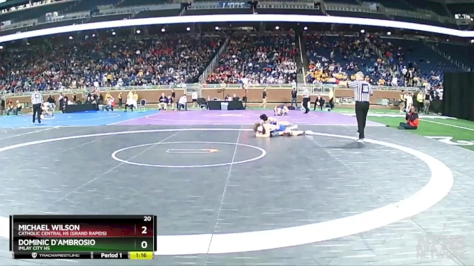 D3-138 lbs Quarterfinal - Michael Wilson, Catholic Central HS (Grand ...