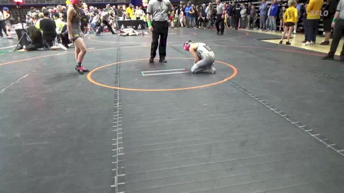100 lbs Quarterfinal - Reese Werner, Loyalsock vs Layla Namerow ...