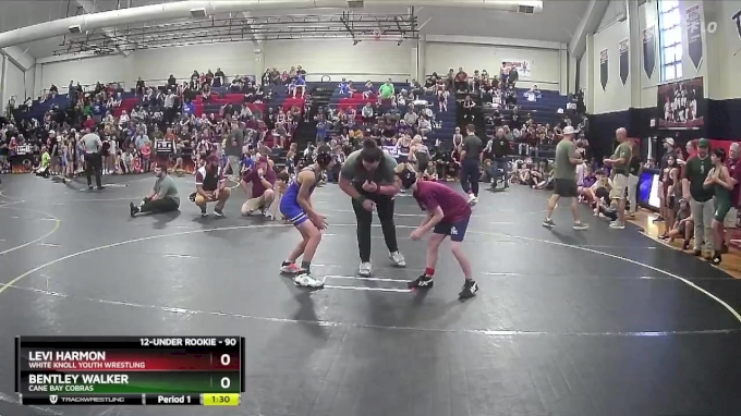 90 lbs Quarterfinal - Levi Harmon, White Knoll Youth Wrestling vs ...